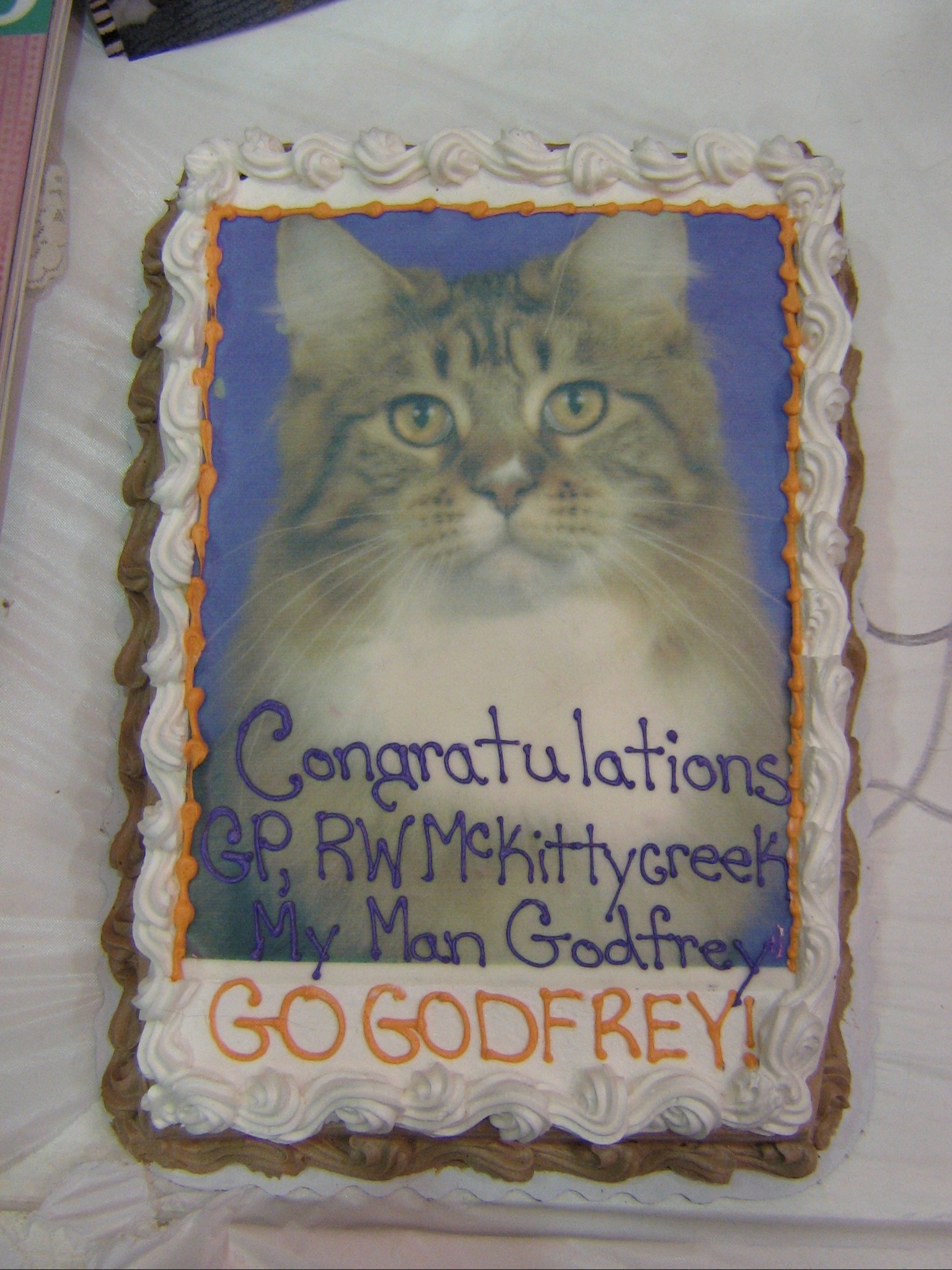 Maine Coon Cat Godfrey Archives - Best Cat Godfrey Book